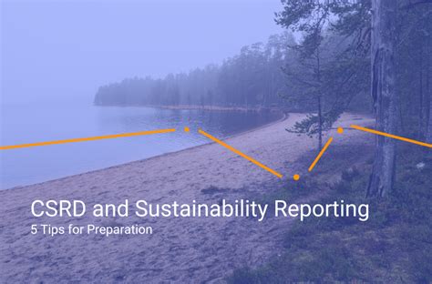 Csrd And Sustainability Reporting 5 Tips For Preparation