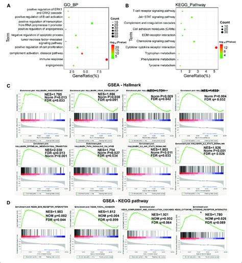 A B Functional Annotation Of The Genes With Higher Expression In