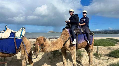 Wallaroo Campability Sa