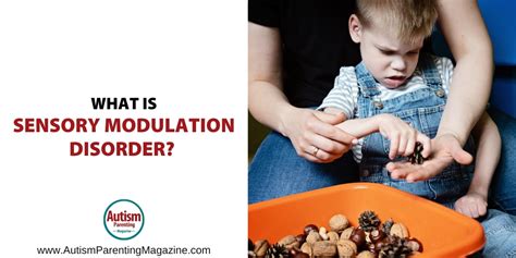 Sensory Processing Modulation Disorder At Alyssa Massy Greene Blog