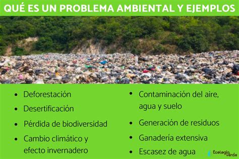 What Is An Environmental Problem And Examples Evidence Network