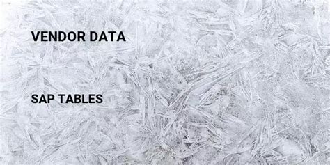 Vendor Data Table In Sap