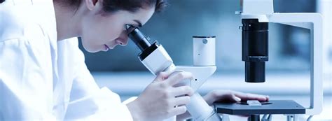 How To Measure Particle Size Distribution In Your Laboratory My Blog How To Measure Particle Size Distribution In Your Laboratory My Blog