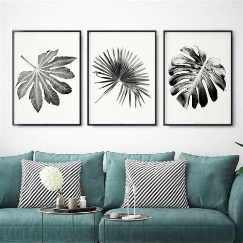Set Of Three Black And White Botanical Wall Art Prints By Bronagh Kennedy Art Prints