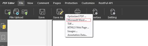 How To View Display Generate Convert Export Pdf File To Word Html