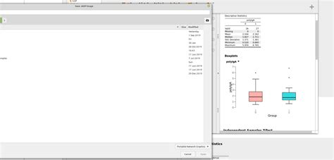 Unable To Save Image Or JASP Files On A Linux Mint Platform Issue Jasp Stats Jasp