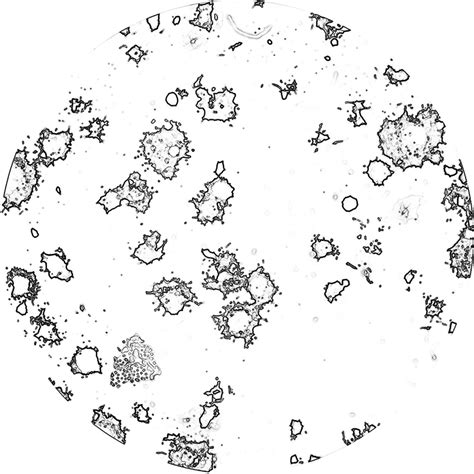 second approach to esc colonies segmentation a edge set of the