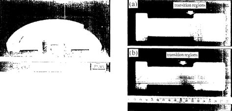Appearance And Cross Sectional Macrostructure Of The Dual Structure Disk Download Scientific