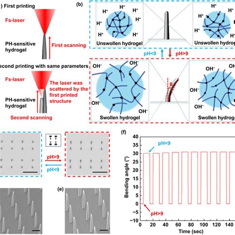 Janus Micropillars Fabricated By Fs Laser Dual Scanning A Schematic Download Scientific