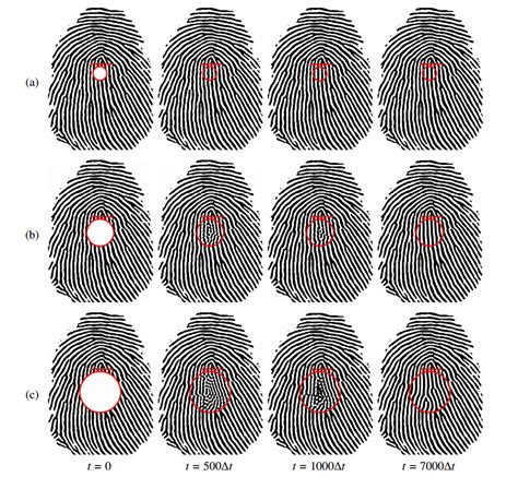 Semi Automatic Fingerprint Image Restoration Algorithm Using A Partial