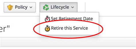 41 Service Retirement Mastering Cloudforms Automation Book