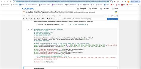 syntax error in assert course 1 week 2 neural networks and deep
