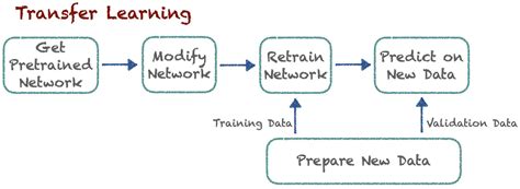 Exploring Tensorflow Models A Comprehensive Overview