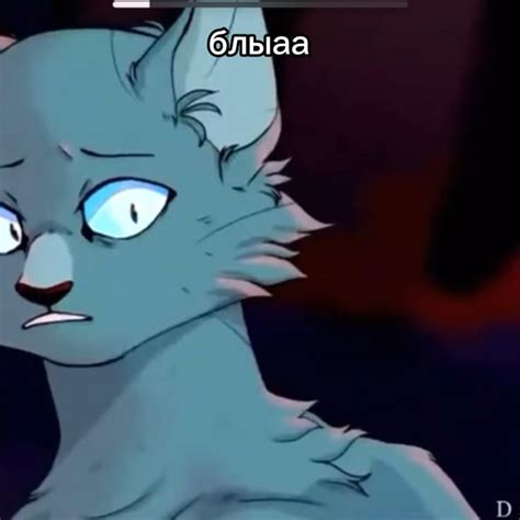 синяя звезда и мошка Warrior Cats Warrior Cat Cat Memes