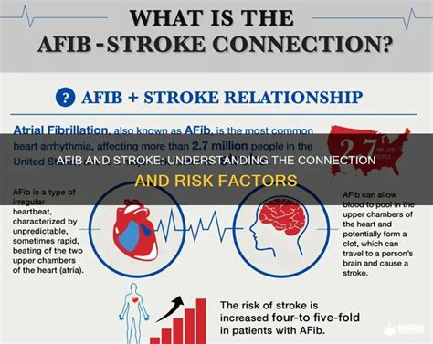 Afib And Stroke Understanding The Connection And Risk Factors MedShun