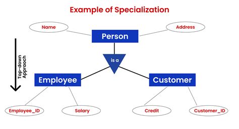 Concepts Of Generalization And Specialization Bimstudiescom