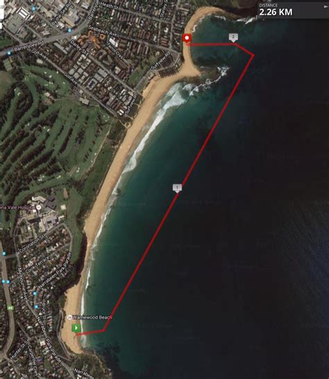 Mona Vale Slsc Ocean Swim 20 Th January 2019 Sydney Nsw