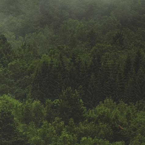 [수플린] 프리미엄 수입·국산·제철과일 산지직송 전문브랜드 Suplelin Atelier Selection 프리미엄 과일 선물세트의 새로운 기준 품격이 다르면 감동도