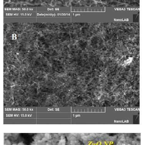 Molecular Structure Of Polyethersulfone Molecular Formula C 12 H 8 O 3