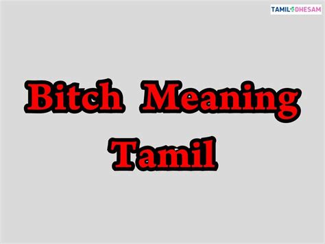 Bitch Meaning Tamil தமிழ் அர்த்தம்