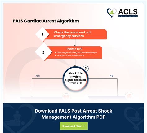 Pals Algorithms Aclsnow