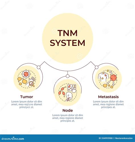 Tnm System Circular Diagram Infographic Vector Illustration 334993988