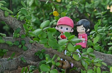 Лучшие приложения для анимации фото на Android и Ios Рамблер новости