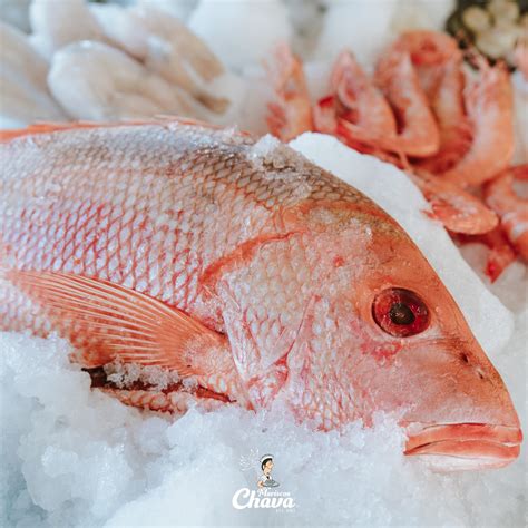 Mariscos 🐟 Frescura Que Se Nota Sabor Que Se Disfruta 🐟 Huachinango