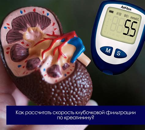 Как рассчитать скорость клубочковой фильтрации по креатинину Дмитрий Старчиков Дзен