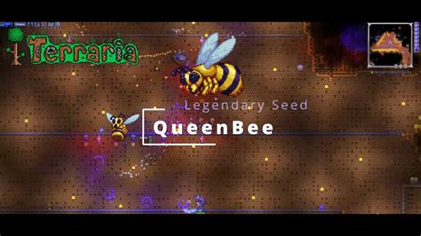 Queen Bee Legendary Seed Terraria Youtube