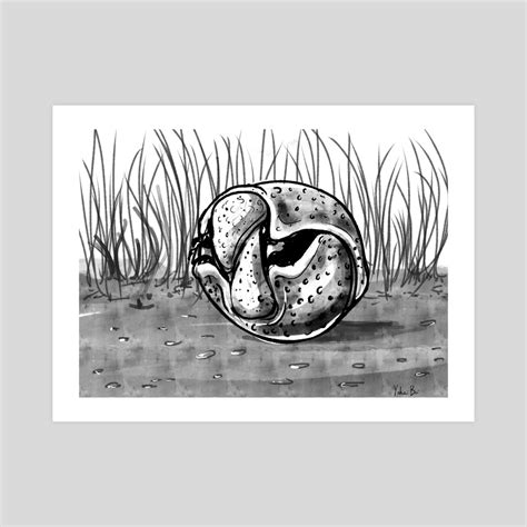 Inktober 2022 Armadillo An Art Print By Yokai Boi Inprnt