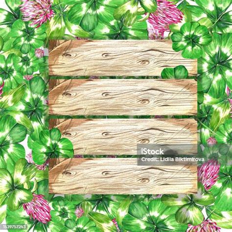 수채화 밝은 삽화 세트입니다 초원 풀 꽃 클로버 엽서 초대장 웹 사이트 디자인 디자인을위한 여름 분위기 공휴일에 대한 스톡 벡터