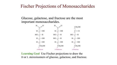Carbohydrate Classification Of Carbohydrates Ppt