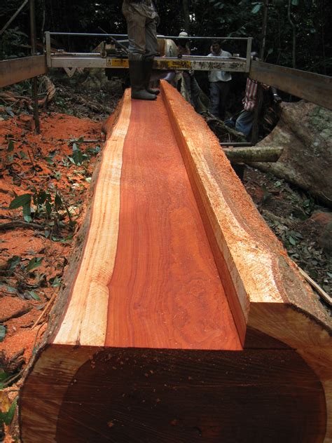 Padoek Plankencentrale