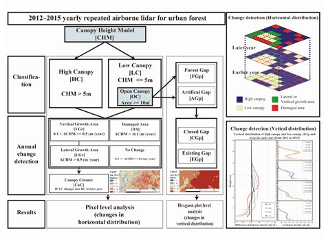 Remote Sensing Free Full Text Urban Forest Growth And Gap Dynamics