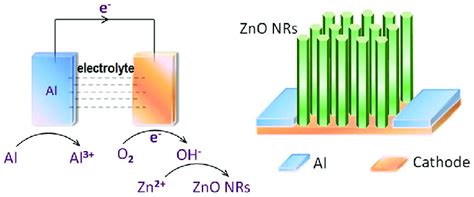 Schematic Illustration Of The Galvanic Cell Based Fabrication Process Download Scientific
