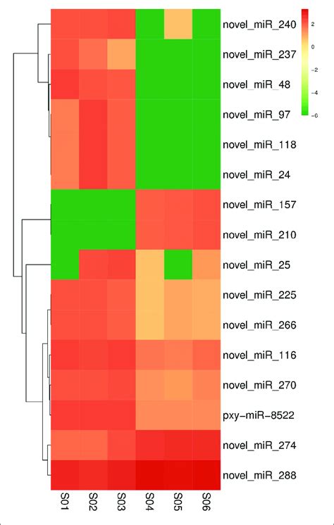 Cluster Analysis Diagram Showing The Differentially Expressed Mirnas