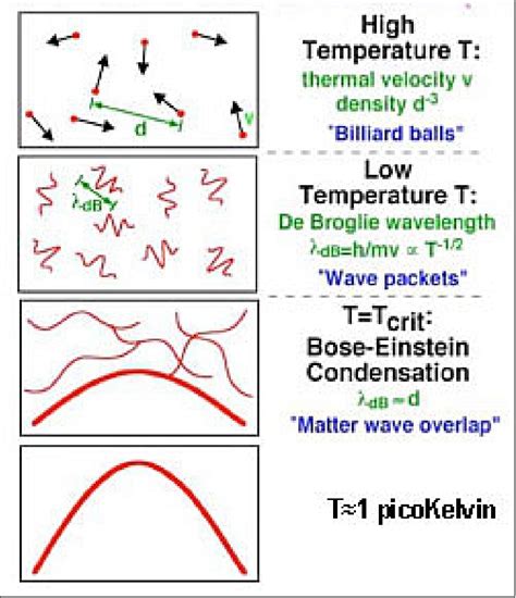 Bose Einstein Condensate Particles