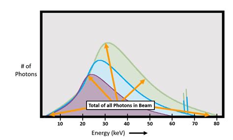 Kvp Reorganized Digital Radiographic Exposure Principles And Practice