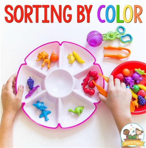 Preschool Sorting Activities