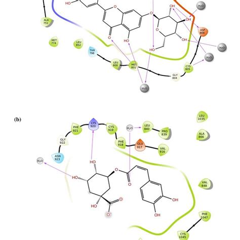 Rmsf Plots Of Protein A Rmsf Plot Of The Receptor 3pp0 Her2 B Rmsf