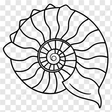 Ammonite Shell Walks Icon Vector Illustration Ammonite Shell Walks