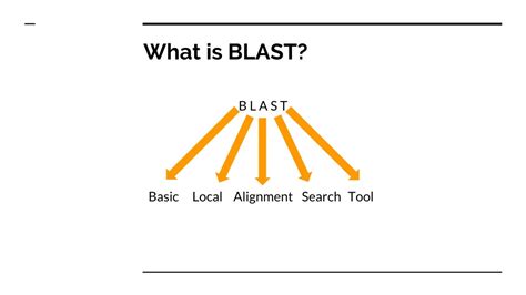 PPT Using BLAST To Identify Species From Proteins PowerPoint Presentation ID 8906205