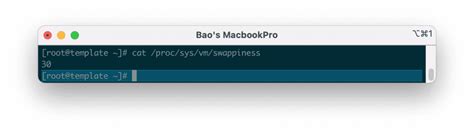 How To Enable Swap On Linux Extremely Detailed With Steps