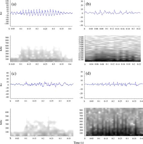 Waveform Top And Spectrogram Bottom Of Bursts Produced By Male A