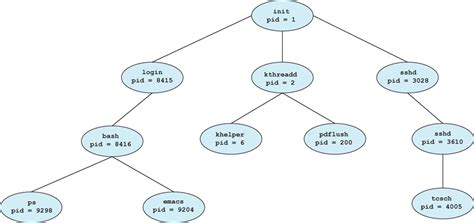 Processes Lecture Notes Cisc 3320