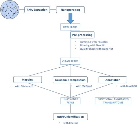 Figure 1 From Evaluating The Potential Of Direct Rna Nanopore Sequencing Metatranscriptomics