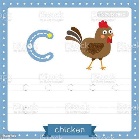 문자 C 소문자 추적 연습 워크 시트입니다 치킨 0명에 대한 스톡 벡터 아트 및 기타 이미지 0명 교육 다중 색상