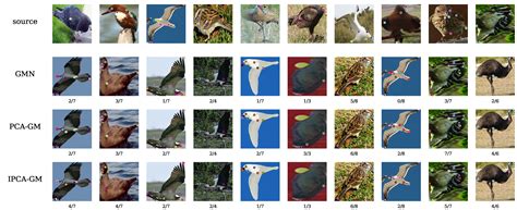 combinatorial learning of robust deep graph matching