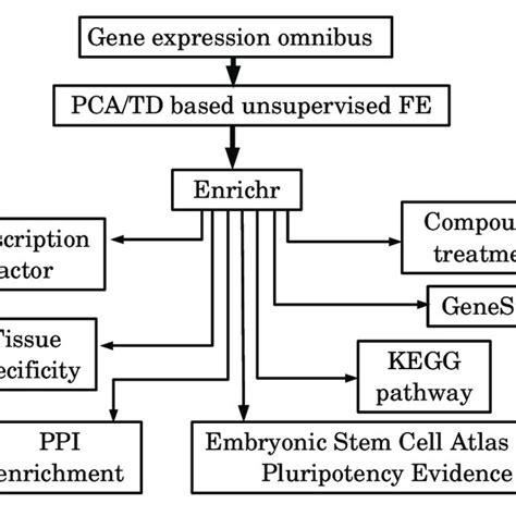 A Schematic Diagram That Summarizes The Obtained Results Download Scientific Diagram